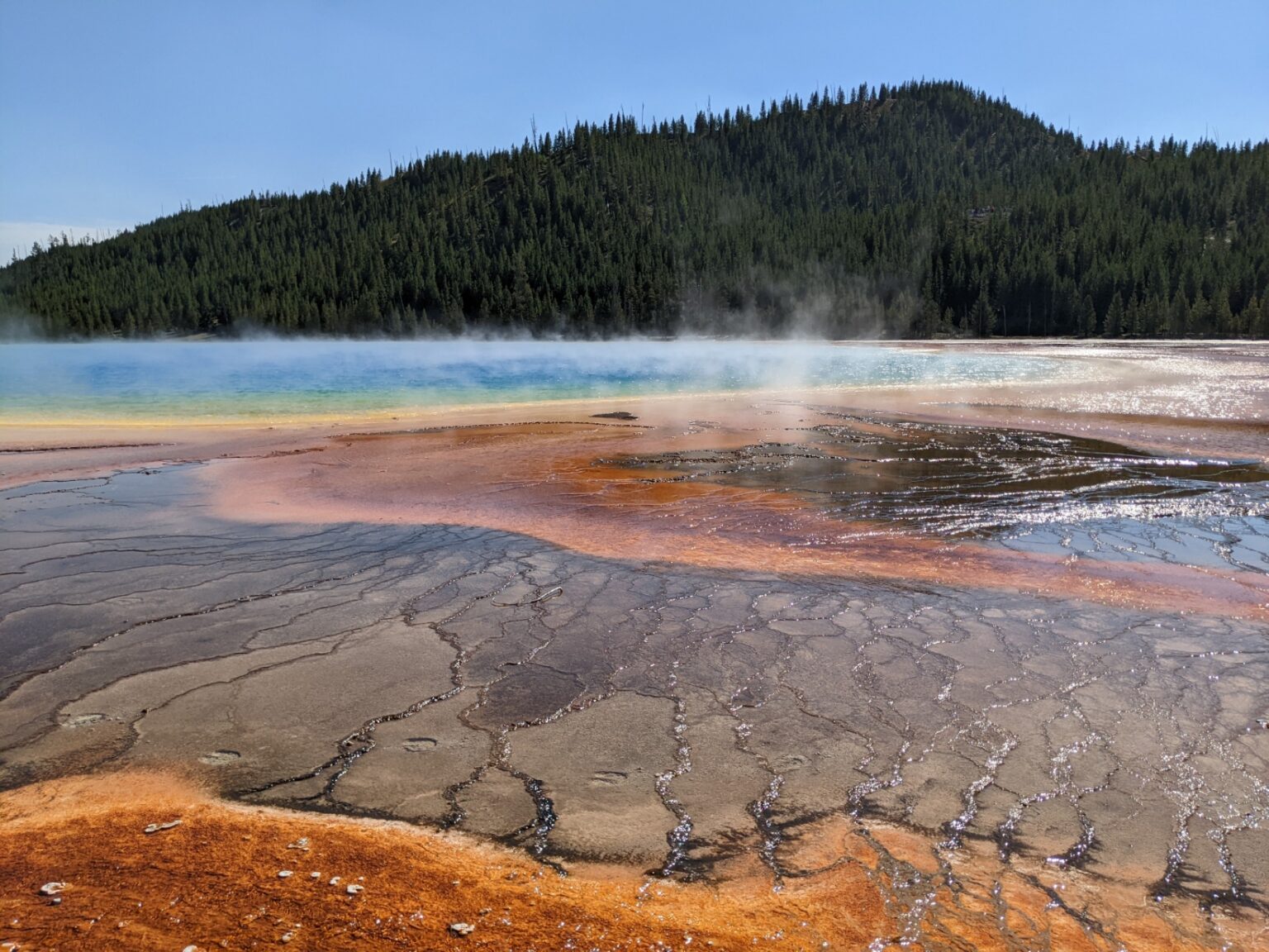 イエローストーン国立公園の魅力＆見どころを堪能するモデルコース